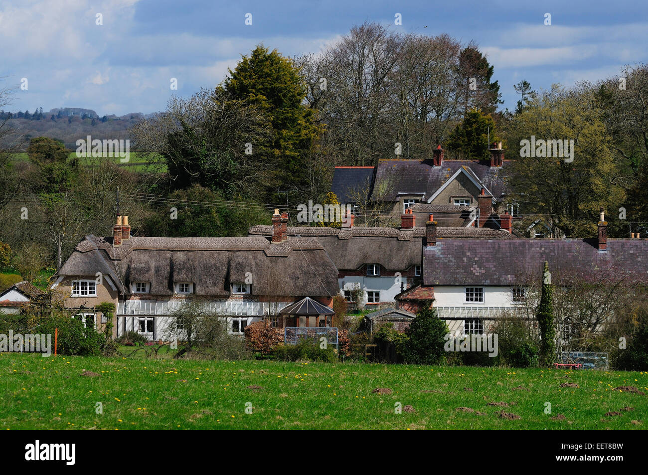 Thatched cottages in Chettle village, Dorset, UK Stock Photo - Alamy