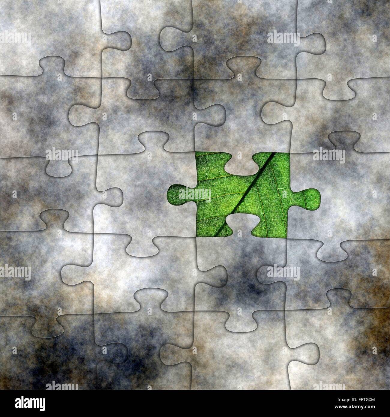 CLose up of leaf and puzzle Stock Photo - Alamy