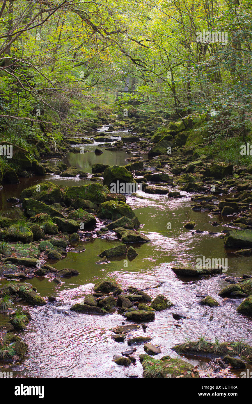 Photograph of stream through woods in North Yorkshire Moors National ...