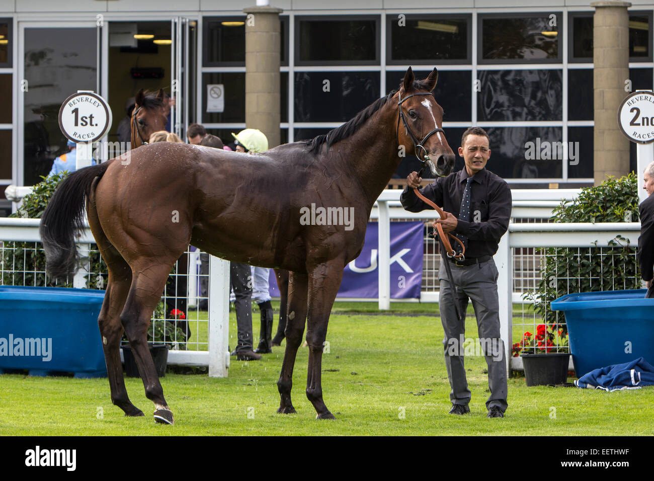 Horse Winners Enclosure High Resolution Stock Photography and Images ...