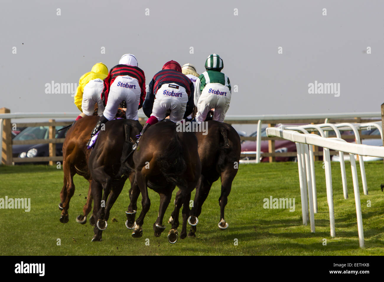 Photograph of horses racing at Beverley Racecourse Stock Photo - Alamy