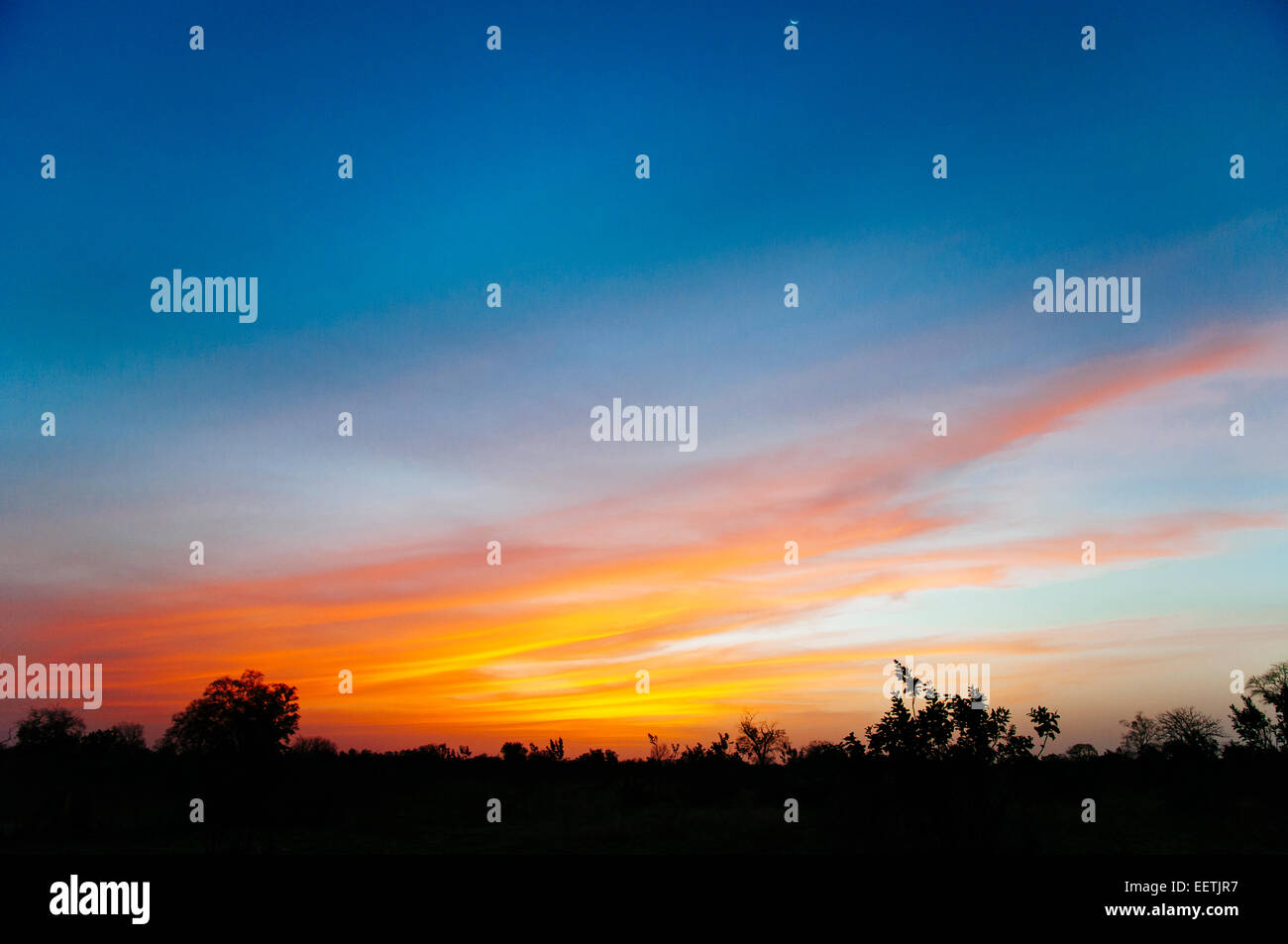 Savannah sahel hi-res stock photography and images - Alamy