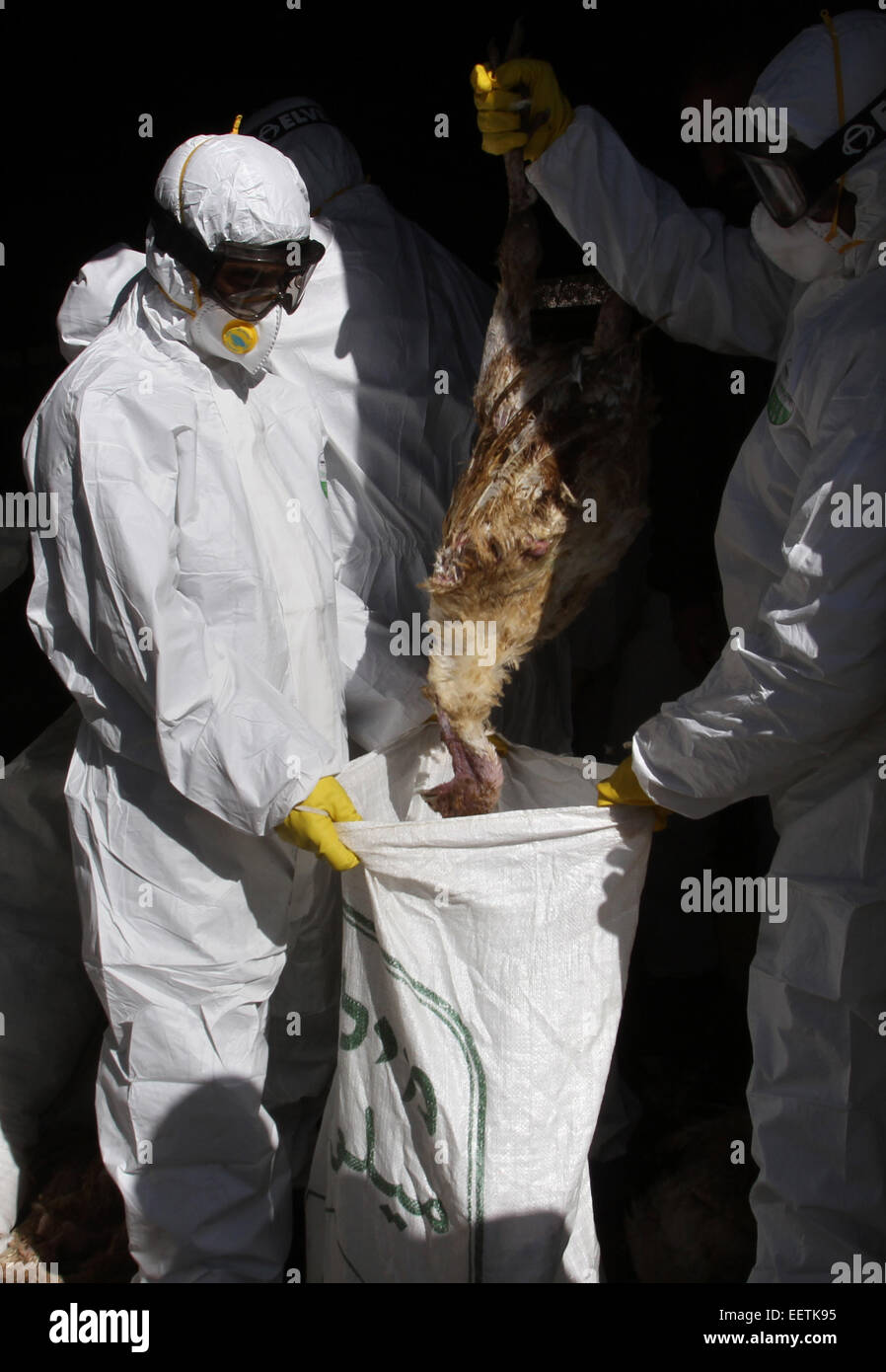 Serees, West Bank, Palestinian Territory. 21st Jan, 2015. Palestinian ...