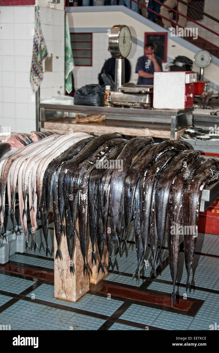Fish in fish market hi-res stock photography and images - Alamy