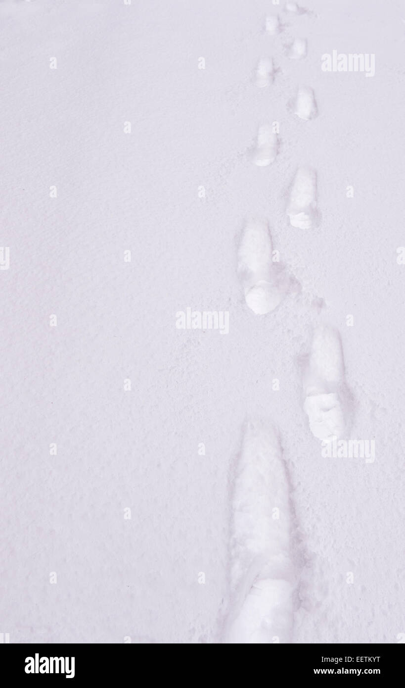 Textures in snow hi-res stock photography and images - Alamy