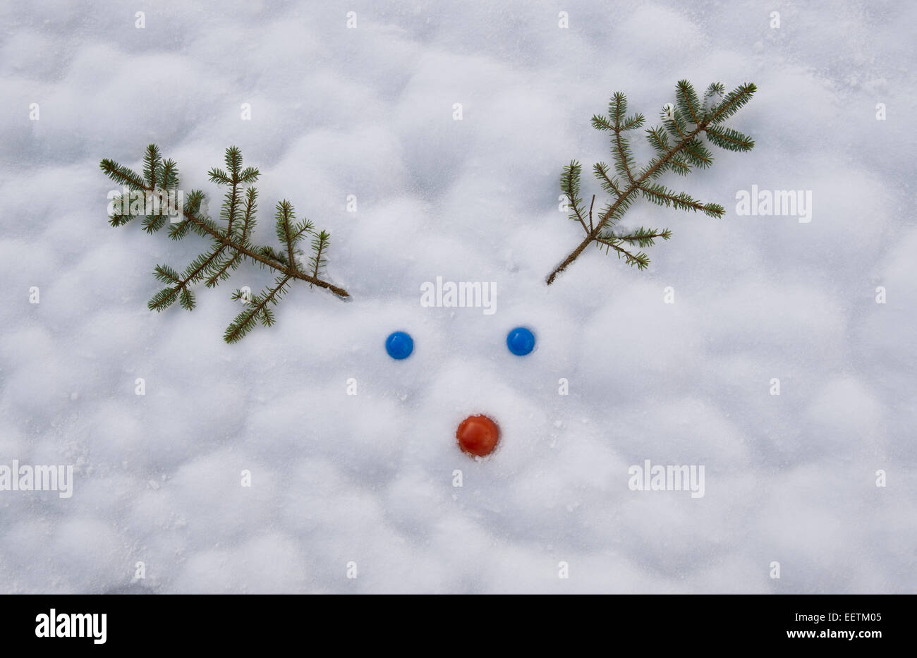 Rudolf the red nose reindeer face in the snow Stock Photo - Alamy