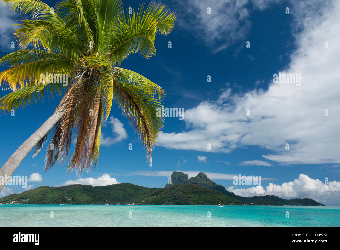 French Polynesia, Society Islands, Leeward Islands, Bora Bora. View of ...