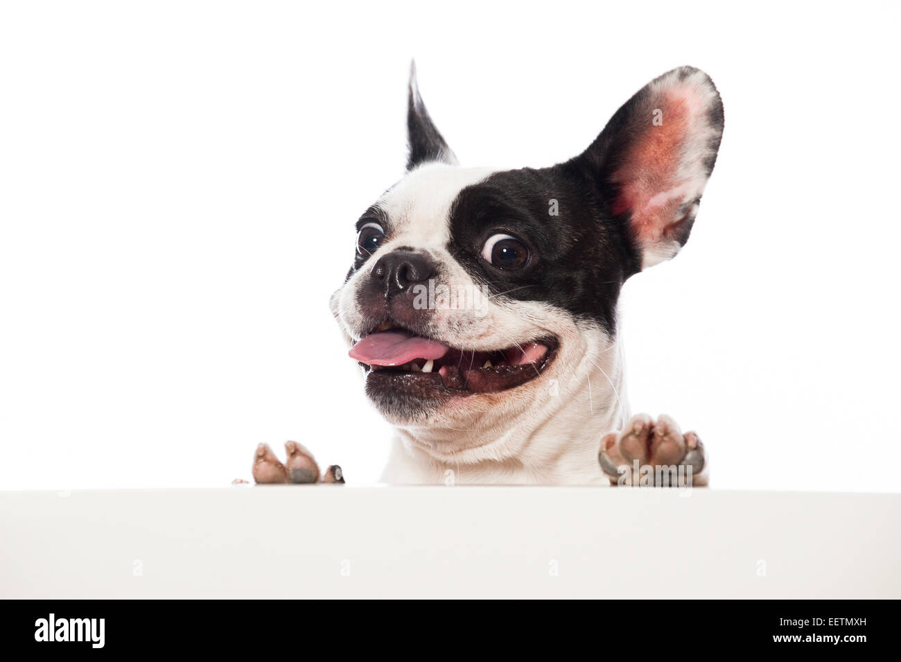 Over board hi-res stock photography and images - Alamy