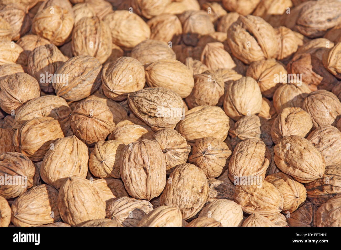 Walnut background, Pile of walnuts in shells Stock Photo - Alamy