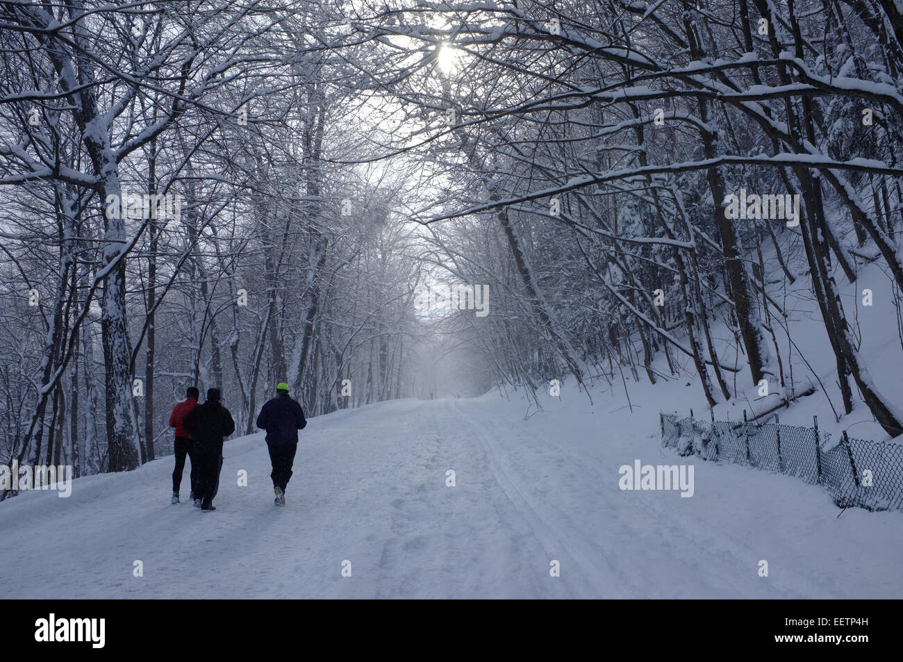 snow, mont royal, montreal, runners,winter,running Stock Photo - Alamy