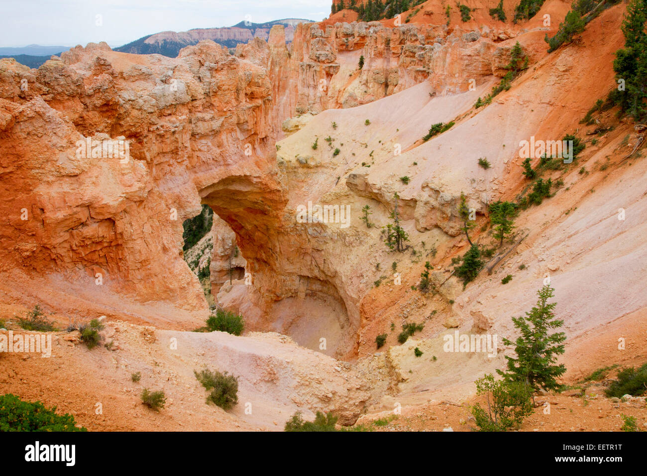 View of hoodoos & other limestone rock formations from Natural Bridge ...