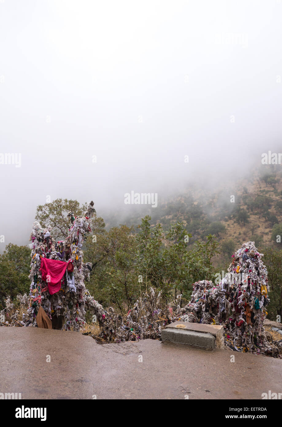 Isis tree hi-res stock photography and images - Alamy