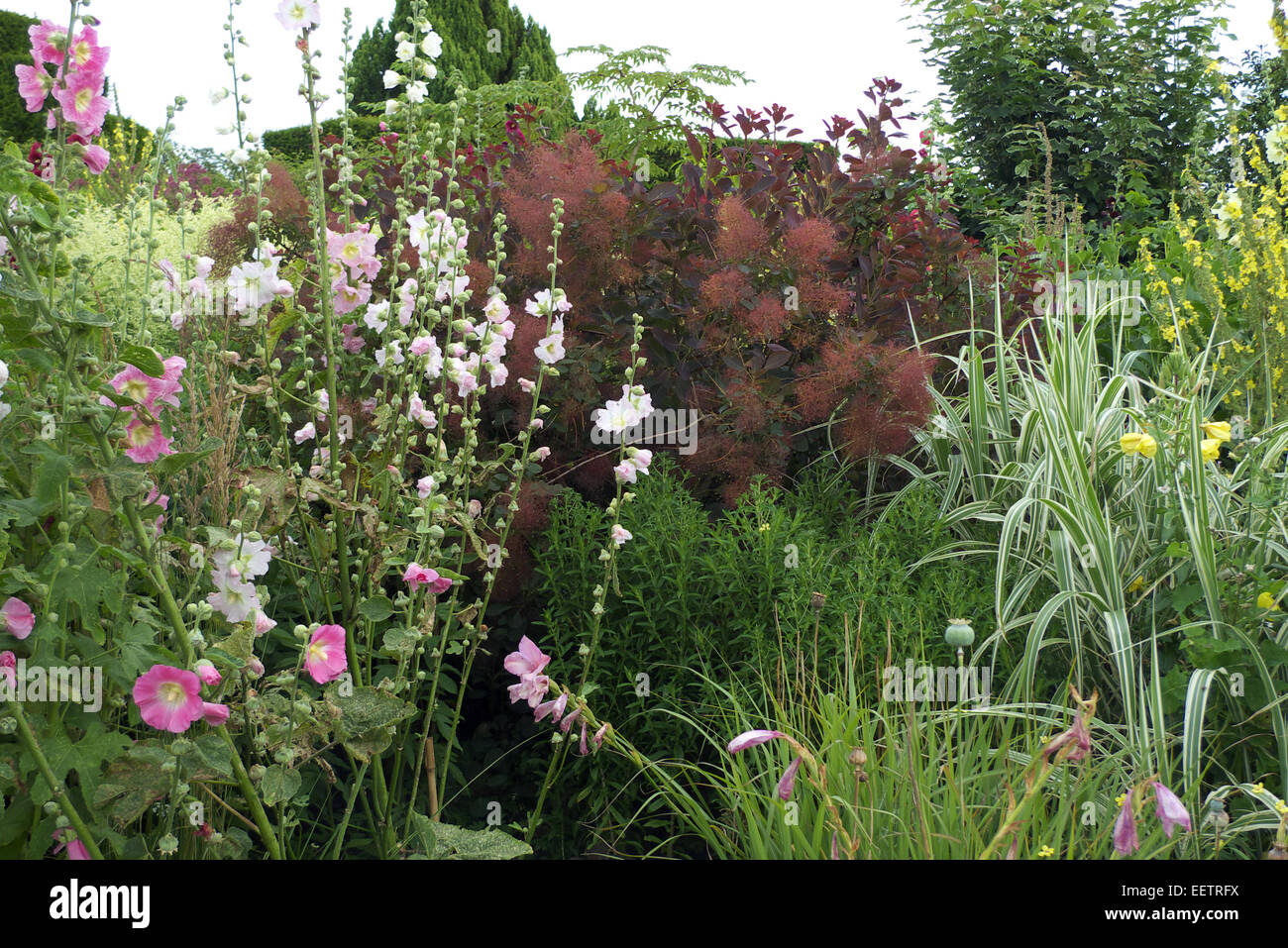 Mixed Border High Resolution Stock Photography and Images - Alamy