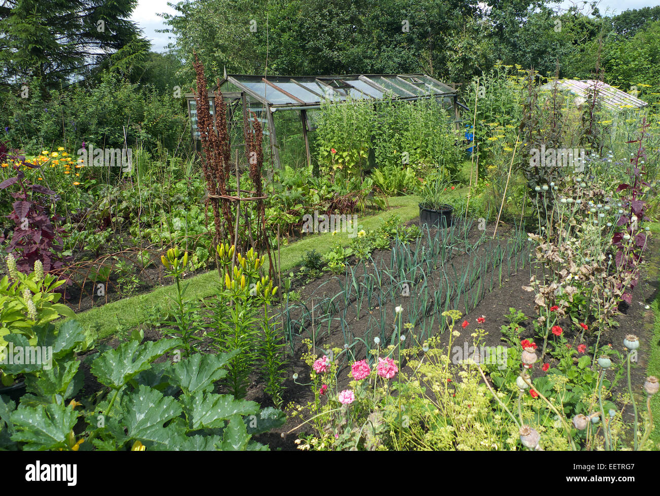 Potager Garden Vegetables High Resolution Stock Photography and Images ...