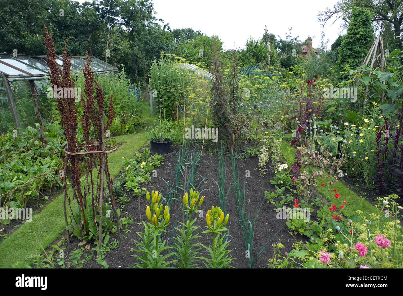 Potager Garden Vegetables High Resolution Stock Photography and Images ...