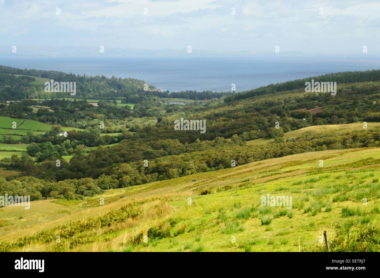 String road hi-res stock photography and images - Alamy