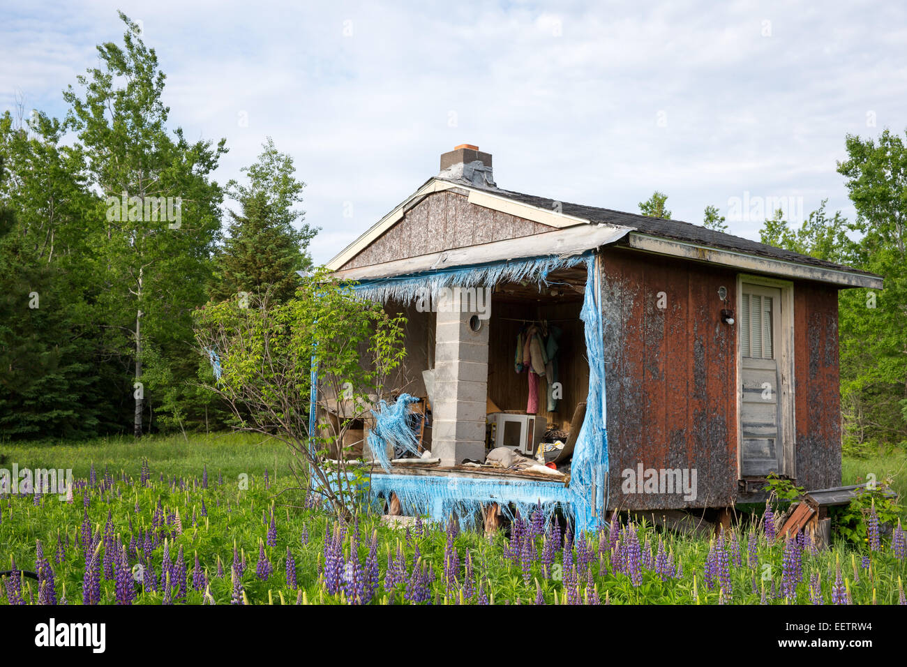 Abandoned 2-room shack decaying in the woods. Personal items can be ...