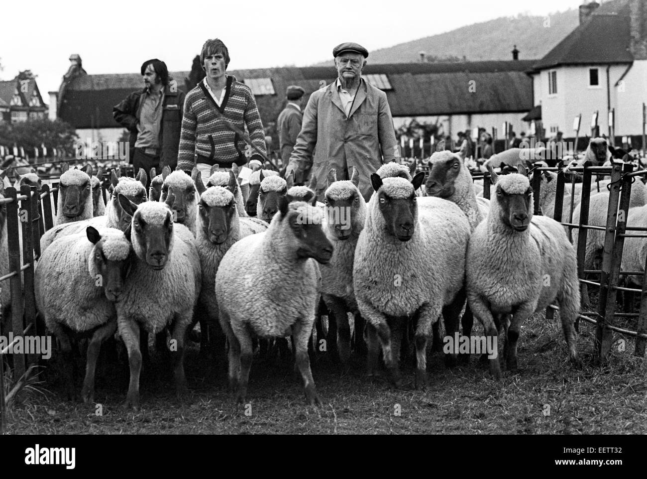 British sheep farmers hi-res stock photography and images - Alamy