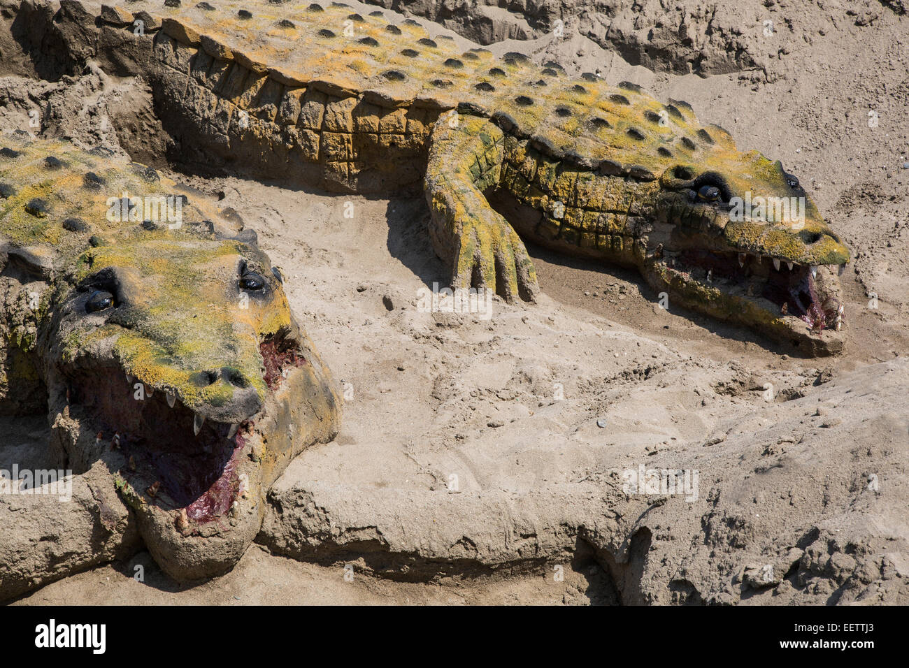 crocodile sand in Andalusoa Stock Photo - Alamy