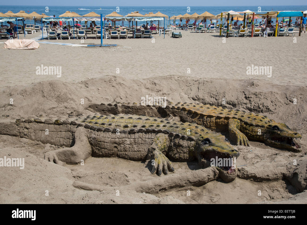 Sand crocodile hi-res stock photography and images - Alamy