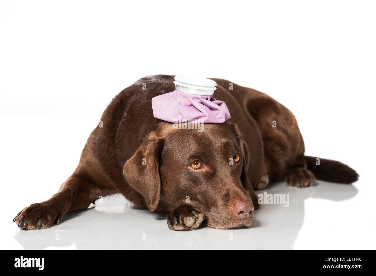 First aid bag lying on hi-res stock photography and images - Alamy