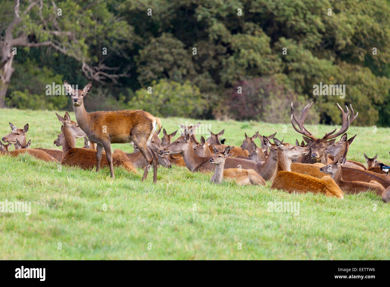 We the curious, bristol hi-res stock photography and images - Alamy