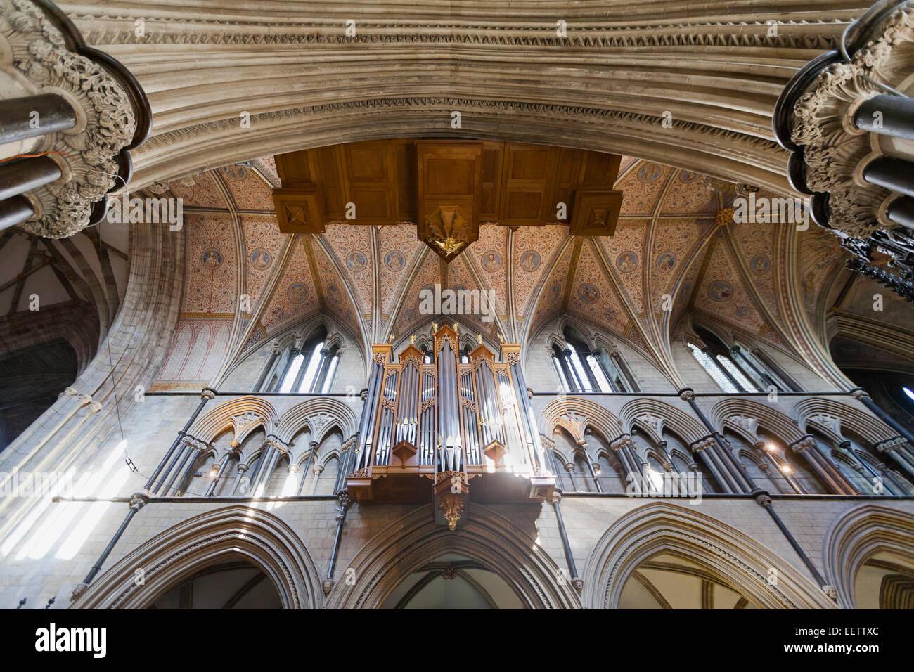 Interior of Worcester Cathedral Stock Photo - Alamy