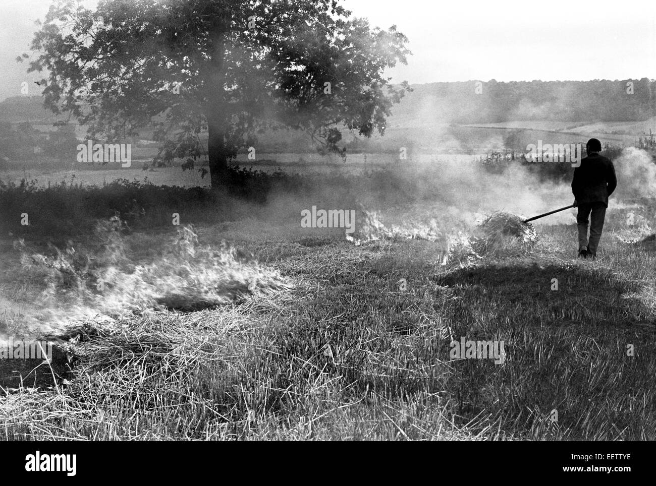 Farmer doing annual burning his fields to prepare for next years crops ...