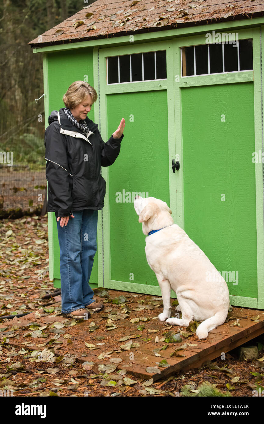 Stay hand command signal hi-res stock photography and images - Alamy