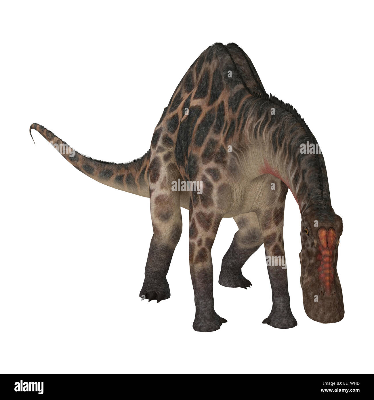 3d digital render dead dinosaur hi-res stock photography and images - Alamy