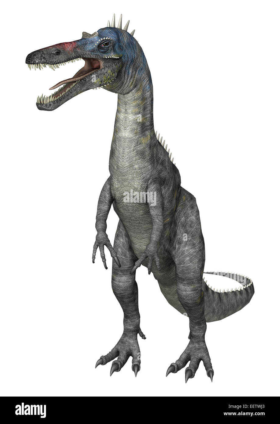 3D digital render of a dinosaur Suchomimus or Suchomimus tenerensis ...