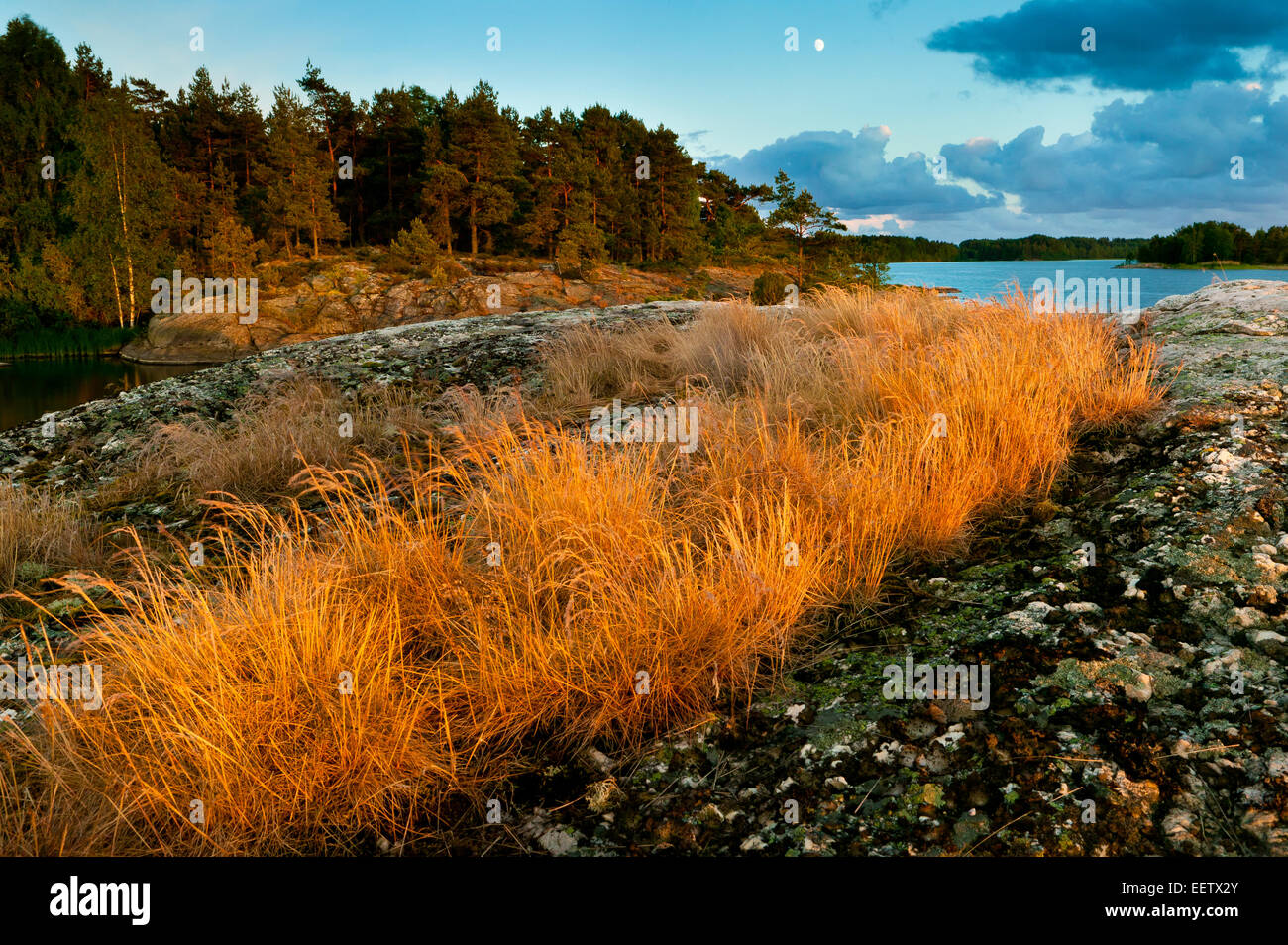 Summer evening at the island Brattholmen in the lake Vansjø in Østfold ...