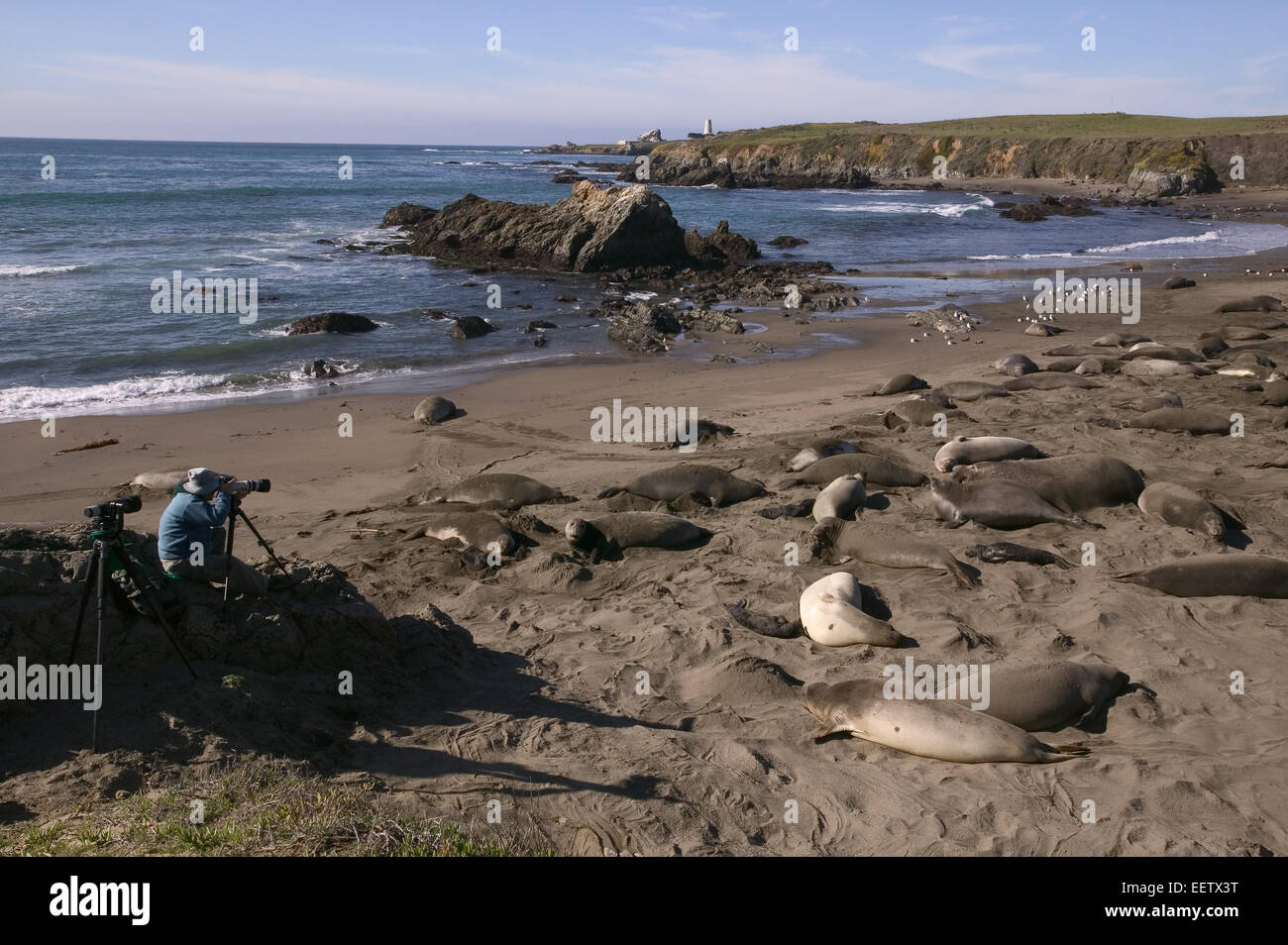 Photographing on wild beach in hi-res stock photography and images - Alamy