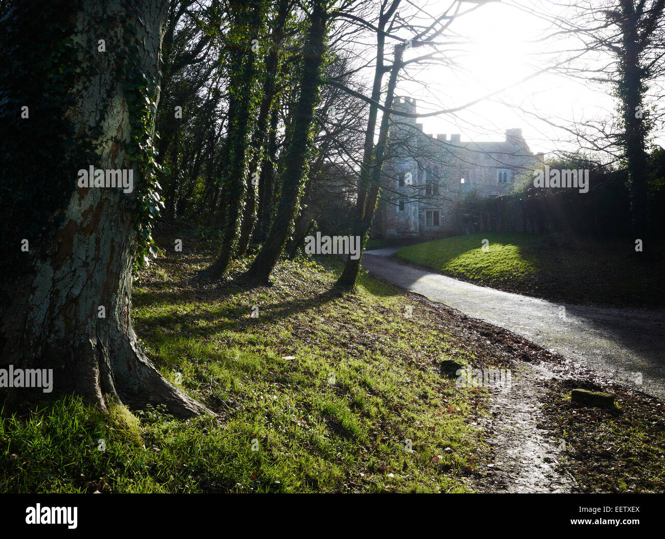 Shute Barton, Devon, UK Stock Photo - Alamy