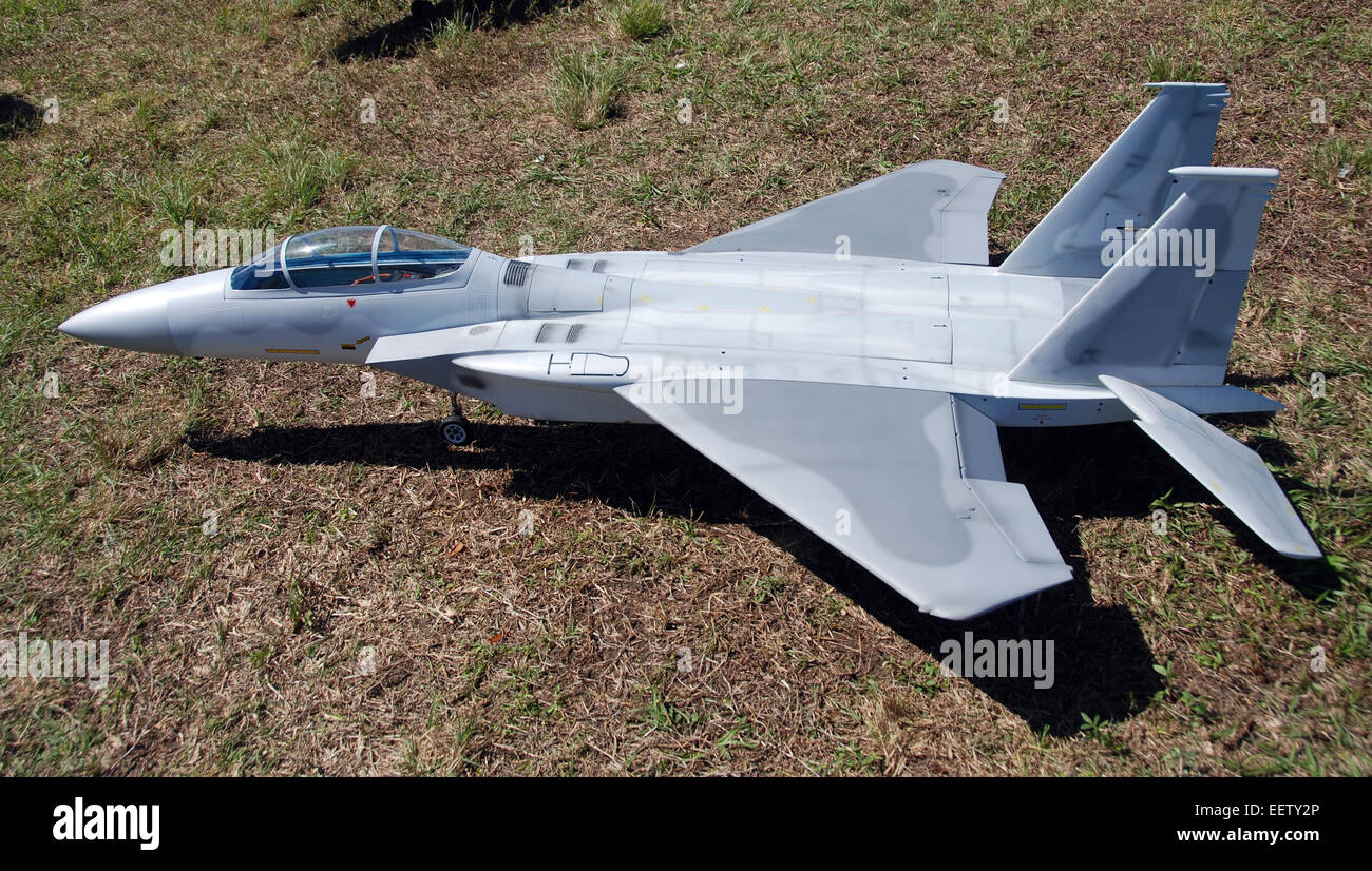 Scaled model of modern fighter jet airplane F-15 Stock Photo - Alamy