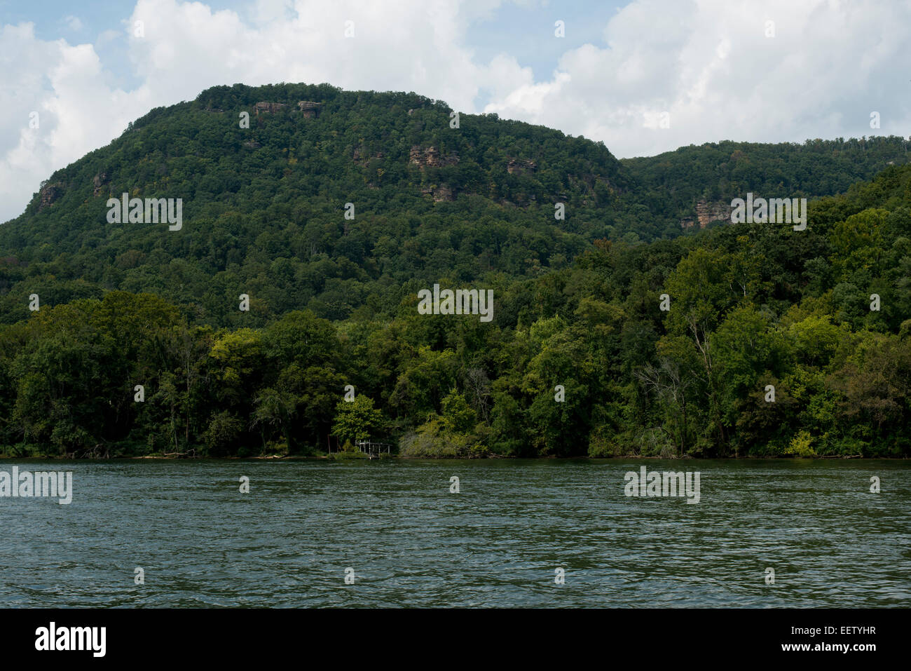 Tennessee River Gorge,along the river banks Stock Photo - Alamy