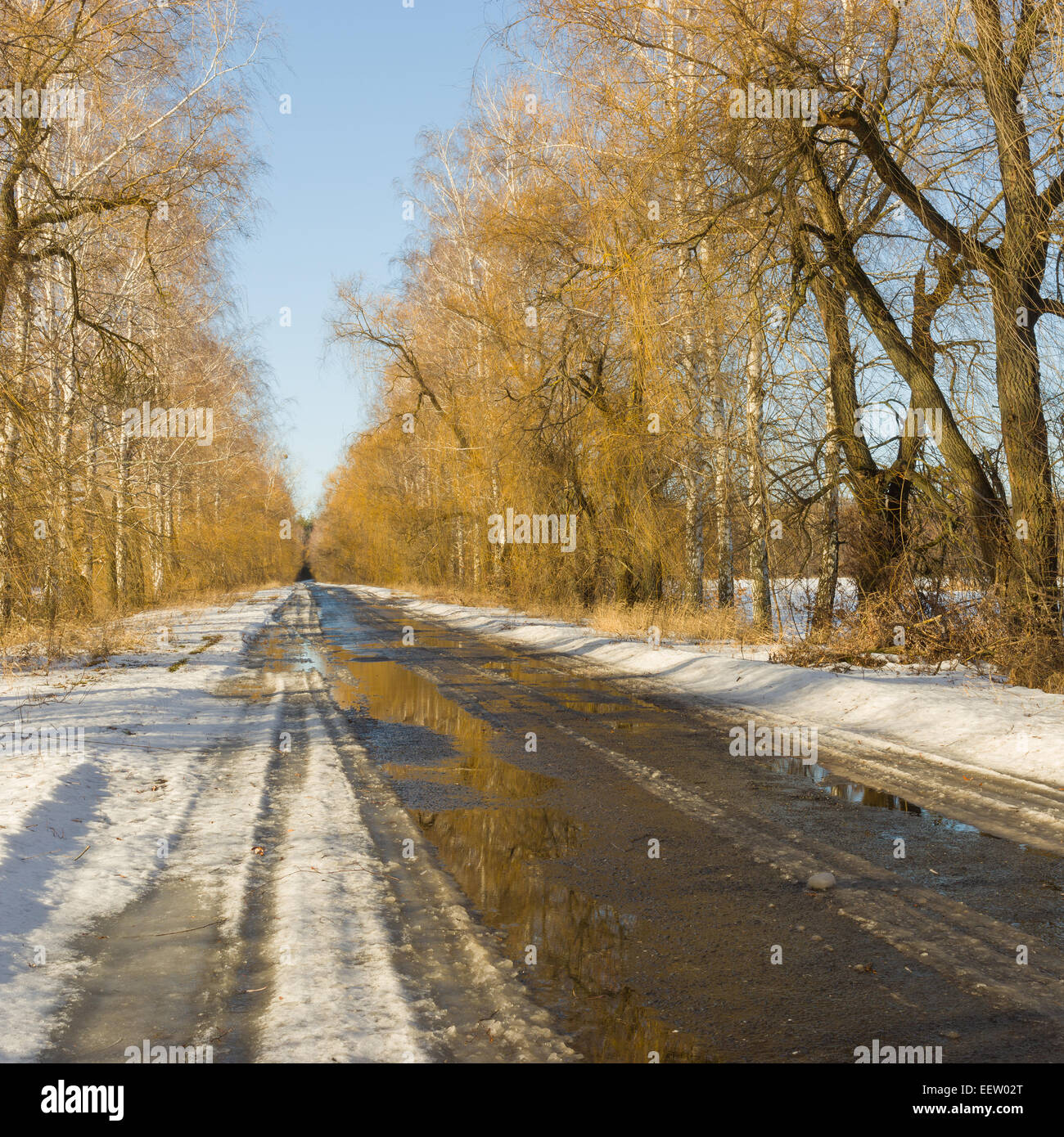 Early spring landscape with country road in central Ukraine Stock Photo ...