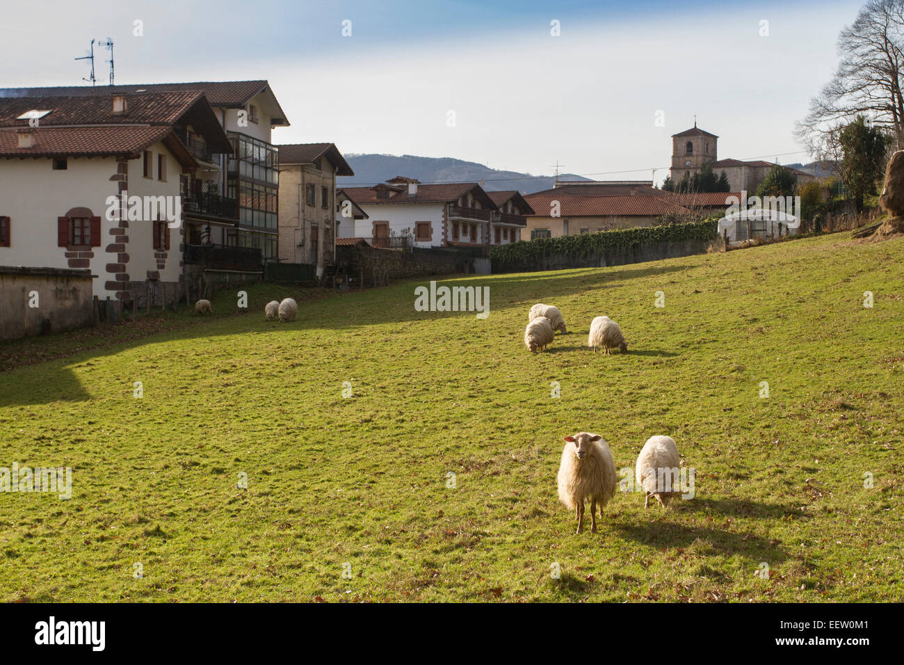 Ships in a field of Bera village, Navarre, Spain Stock Photo - Alamy