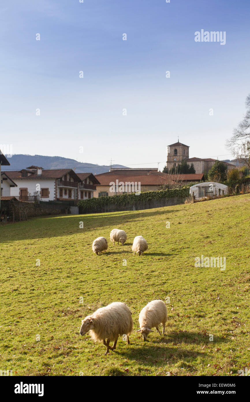 Ships in a field of Bera village, Navarre, Spain Stock Photo - Alamy