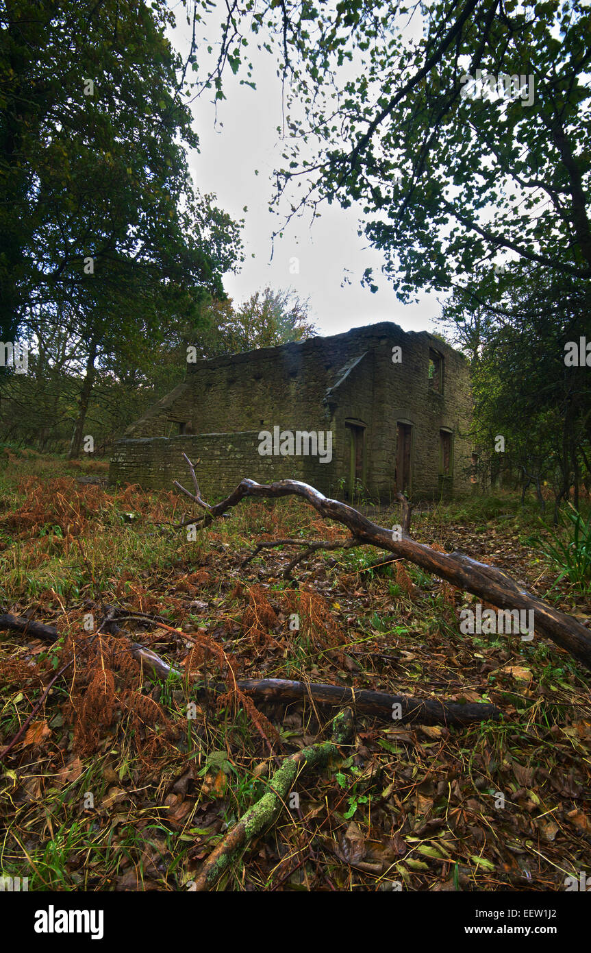 Abandoned house in the woods in the village of Tynham, Dorset, UK Stock ...