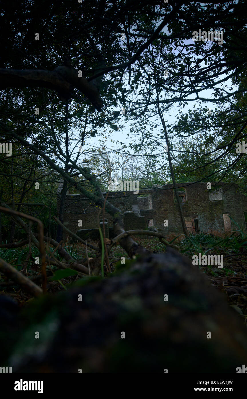 Spooky derelict house in the woods in the abandoned village of Tynham ...