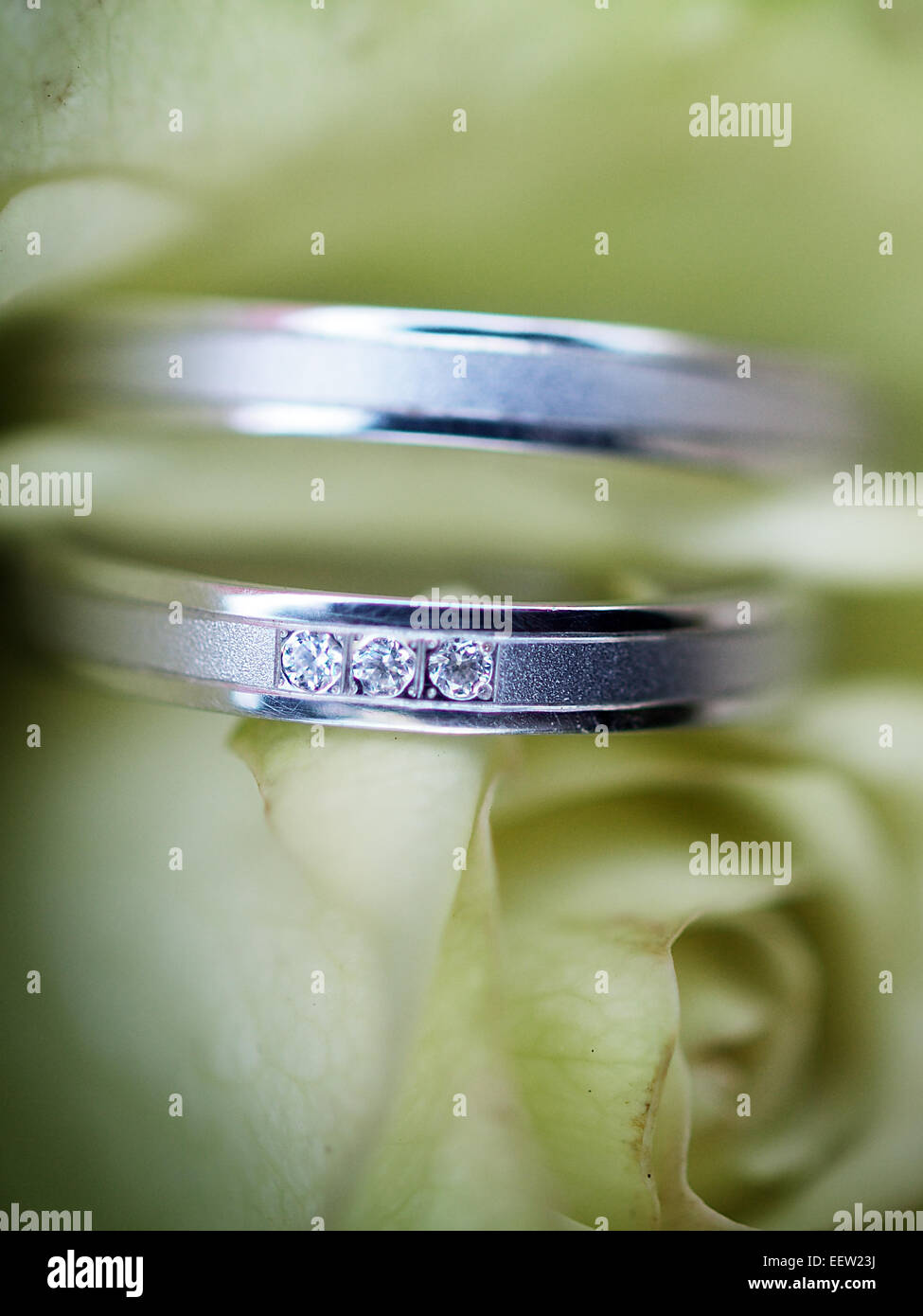 still life with wedding rings Stock Photo - Alamy