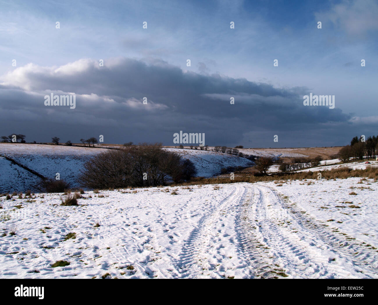 Winter on Exmoor, Somerset, UK Stock Photo - Alamy