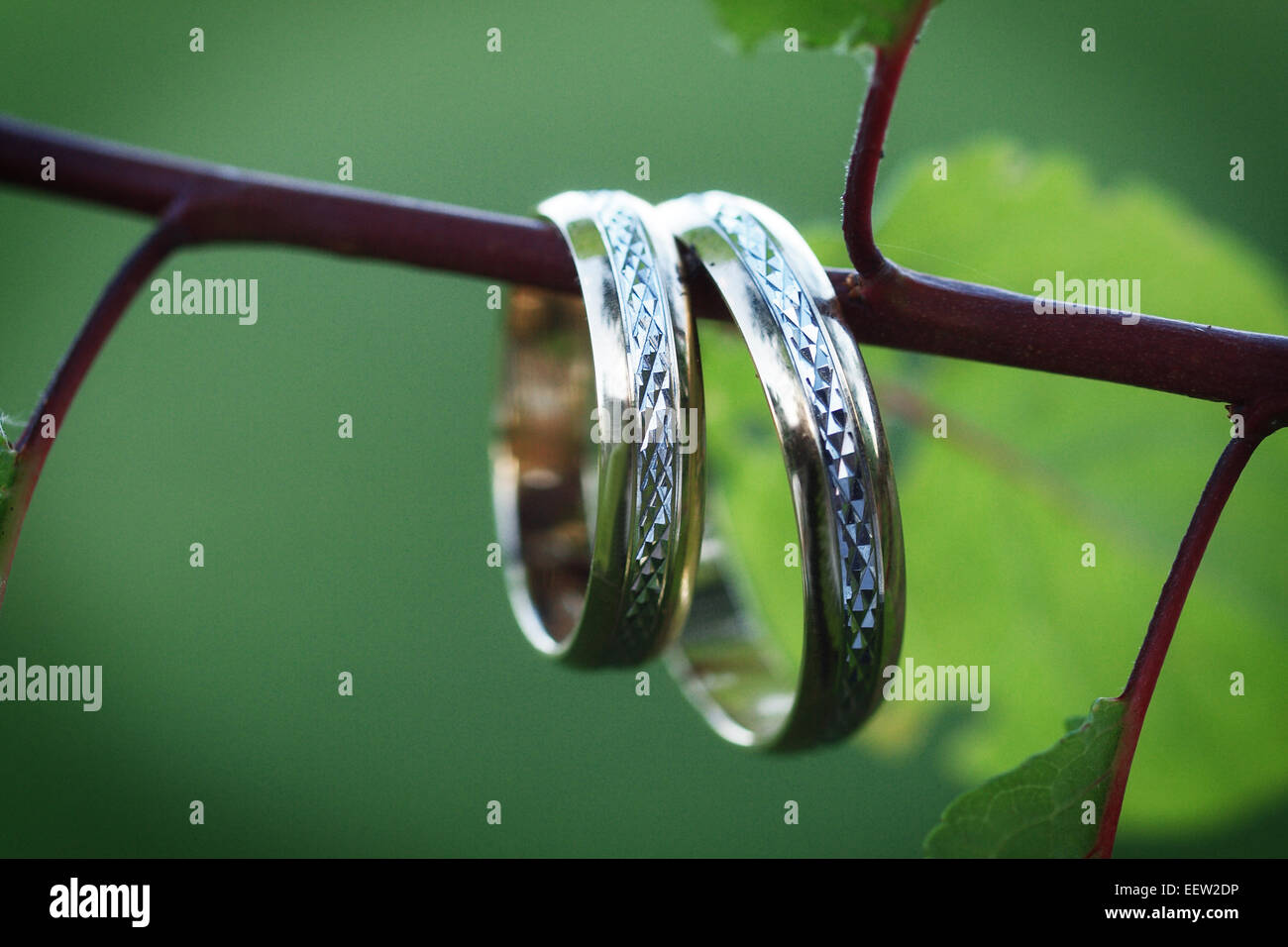 Wedding anniversary rings hi-res stock photography and images - Alamy