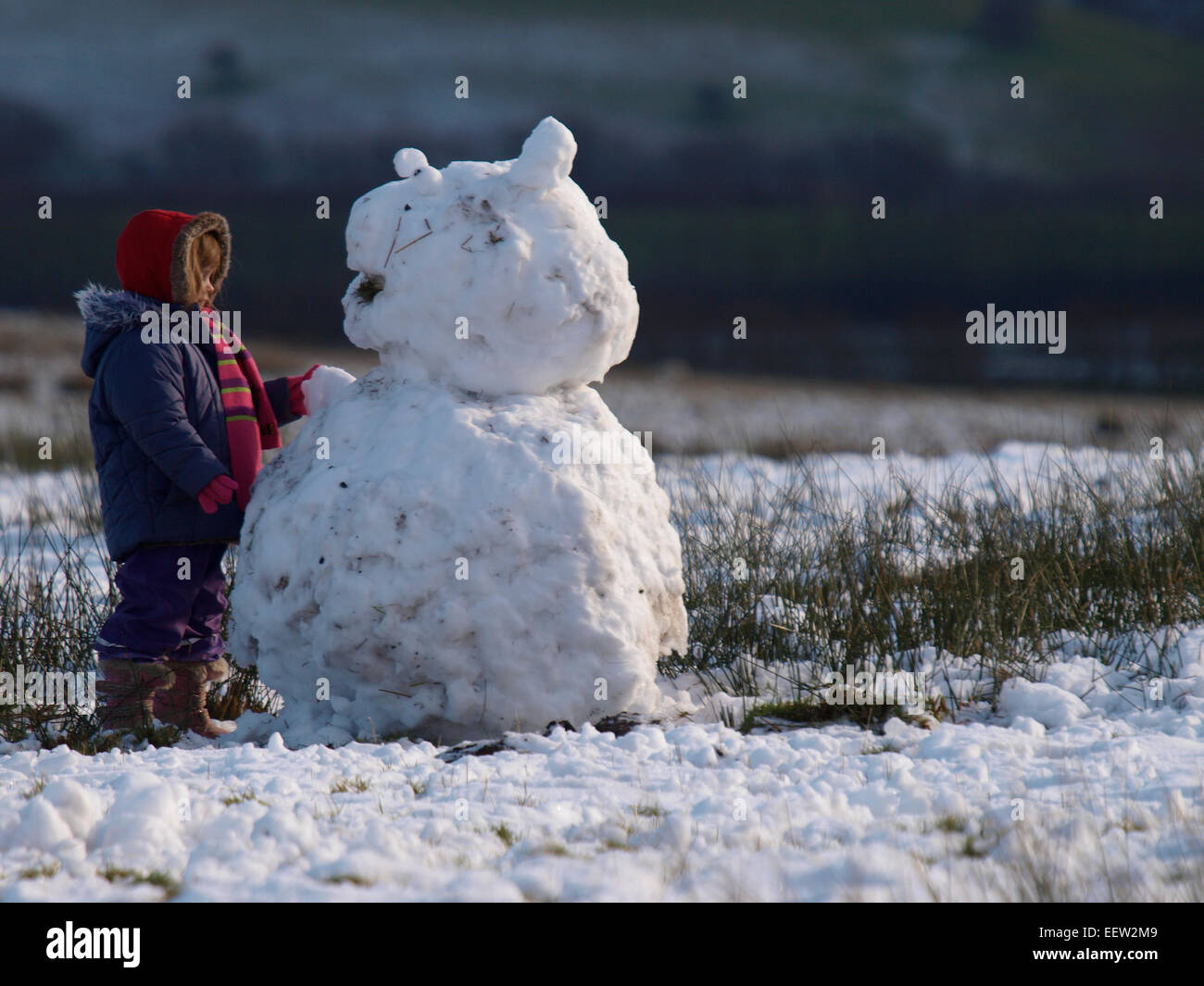Young girl building a snowman, Exmoor, Somerset, UK Stock Photo - Alamy
