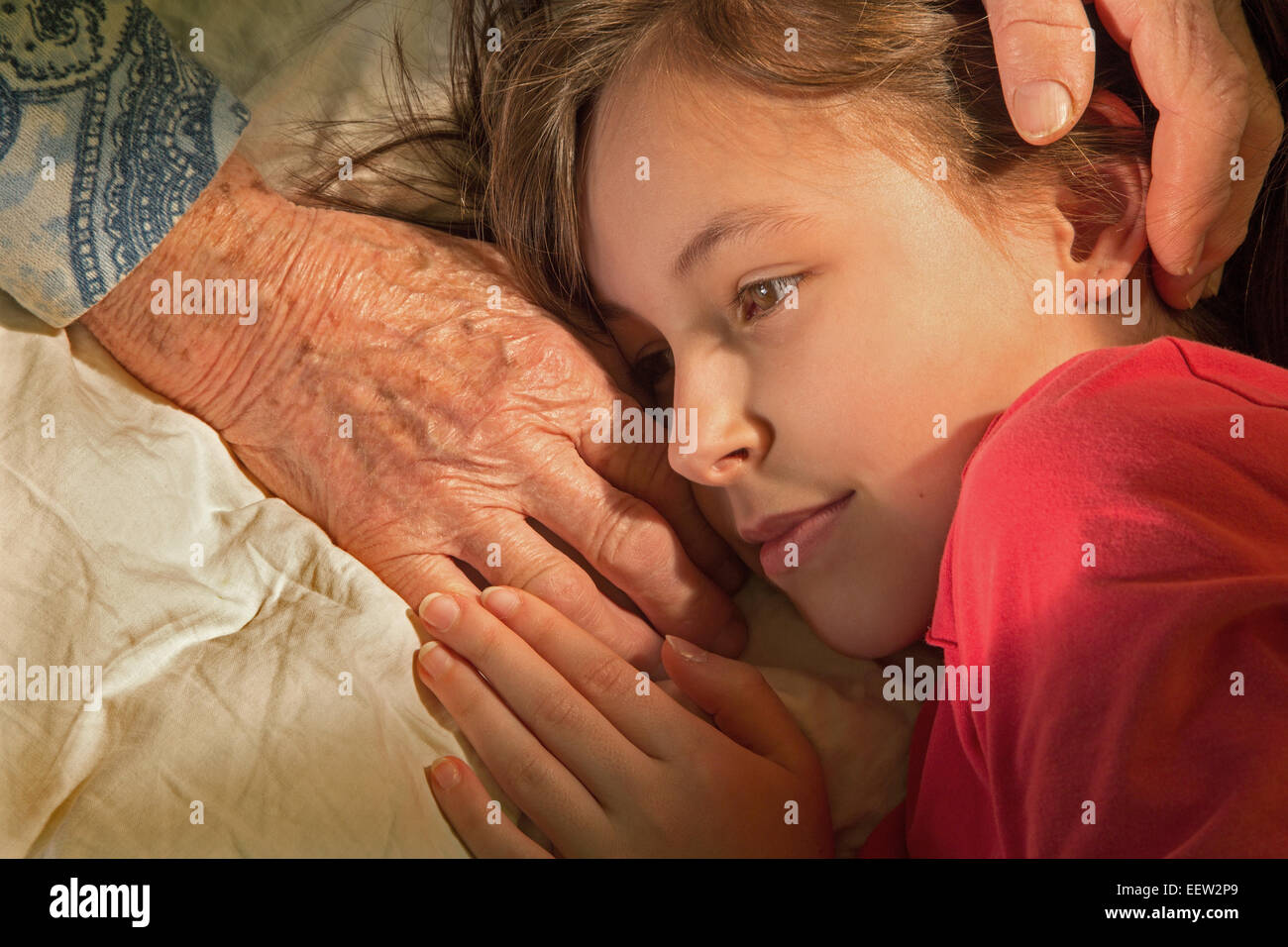 hands of grandmother and granddaughter in the morning Stock Photo - Alamy