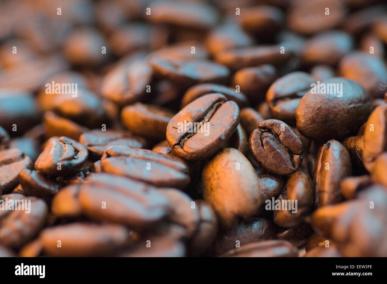 Coffee beans shot shallow hi-res stock photography and images - Alamy