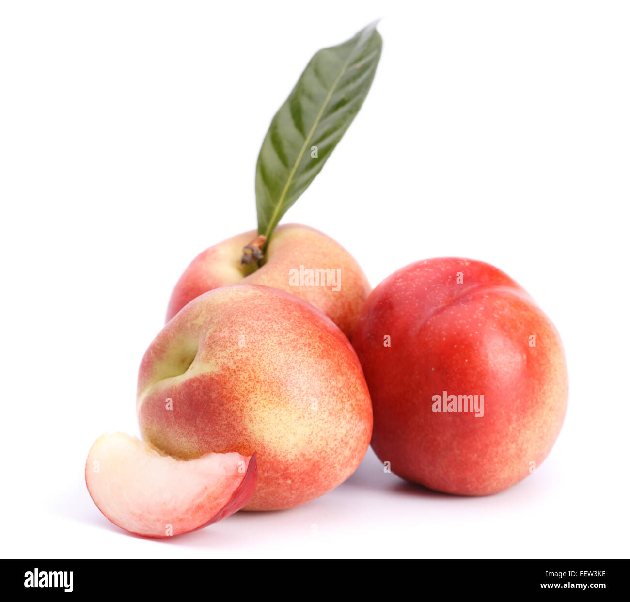 Climate group Cut Out Stock Images & Pictures - Alamy