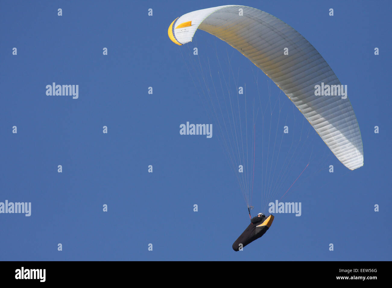 Paraglider pilots soaring against blue sky Stock Photo - Alamy