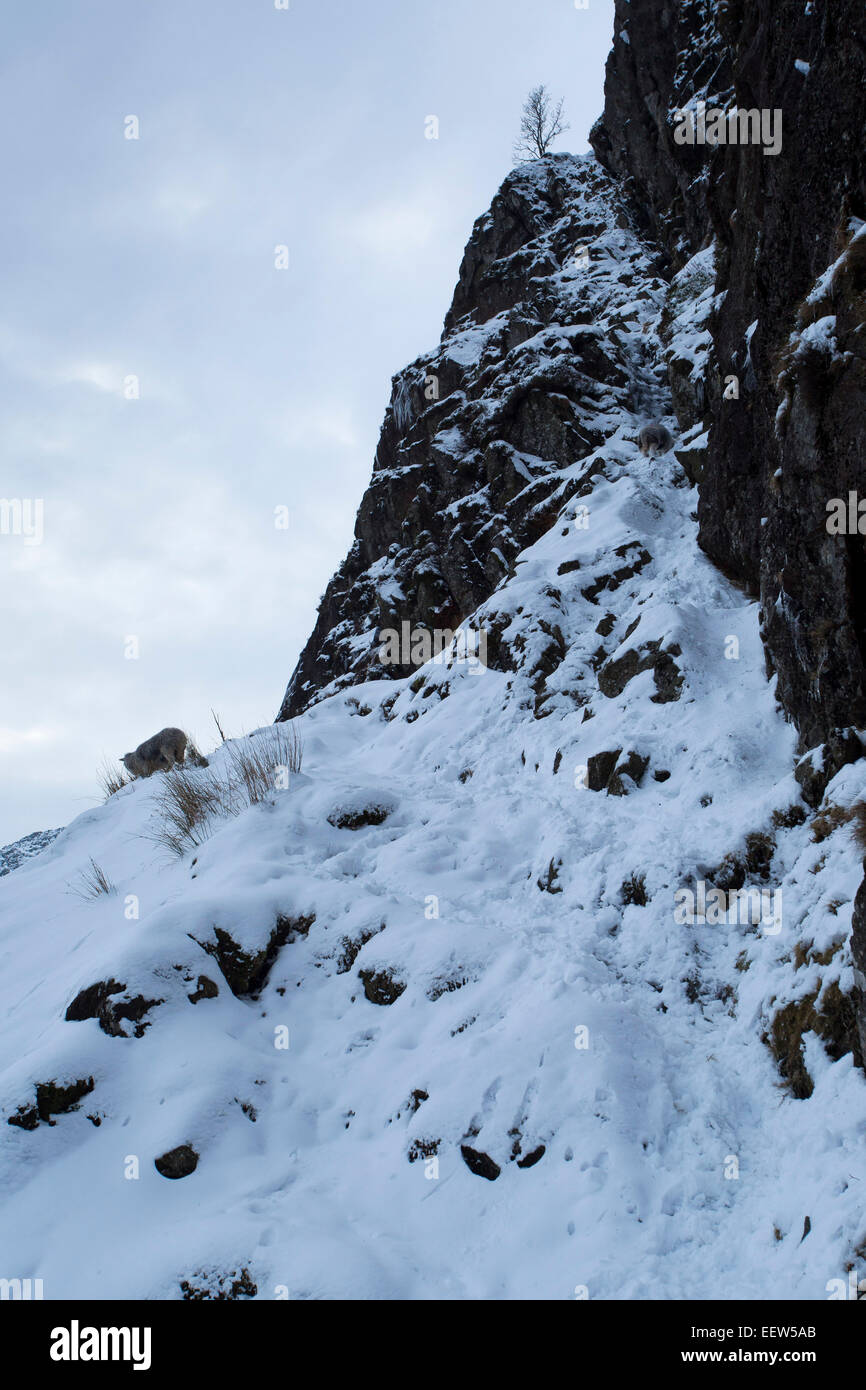 Stickle Tarn and Jack's Rake scramble in winter, Great Langdale, Lake ...